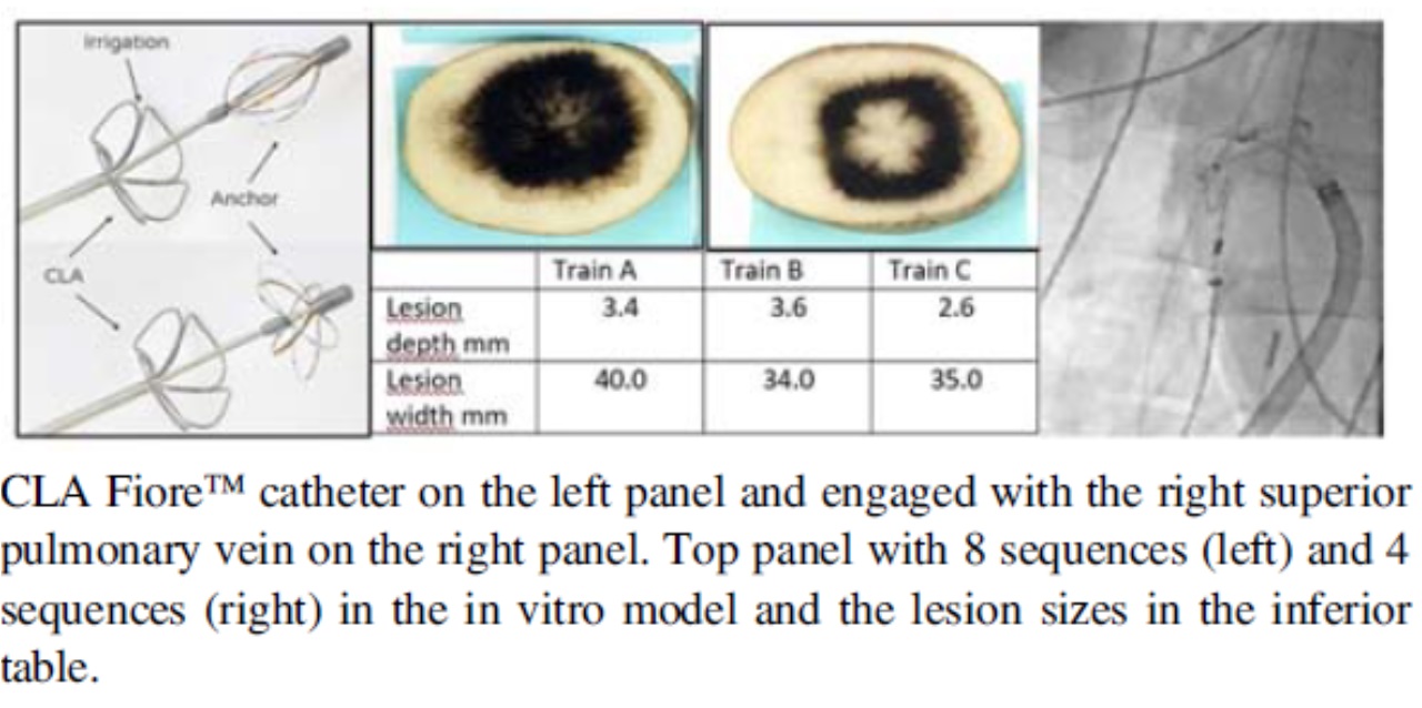Pre-Clinical Results - ElectroPhysiology Frontiers